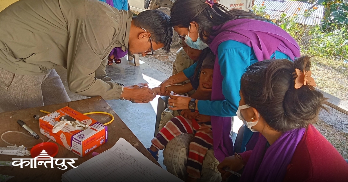 51 people from Darma, Salyan confirmed to be infected with scrub typhus ...