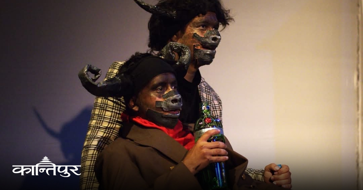 The Most Wanted 'Vayupankhi Buffalo' - कान्तिपुर