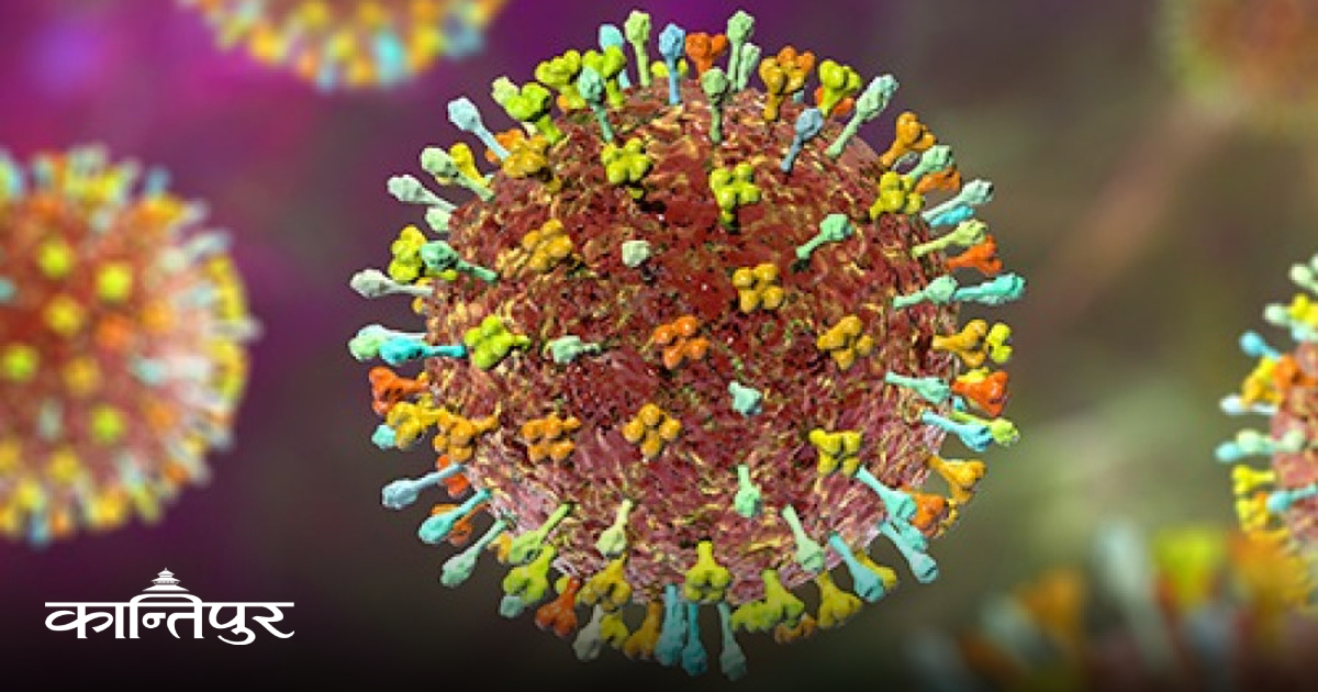 196 people in India test negative for Nipah virus, only two infected ...